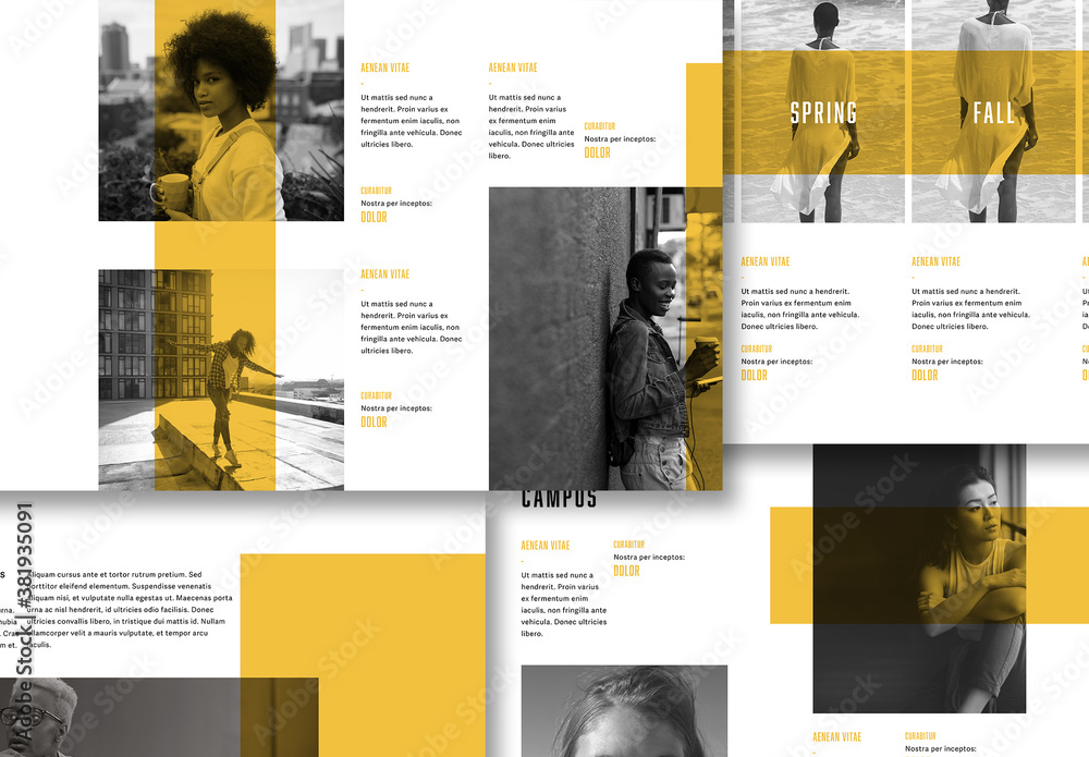 Portfolio Pitch Deck Stock Template | Adobe Stock