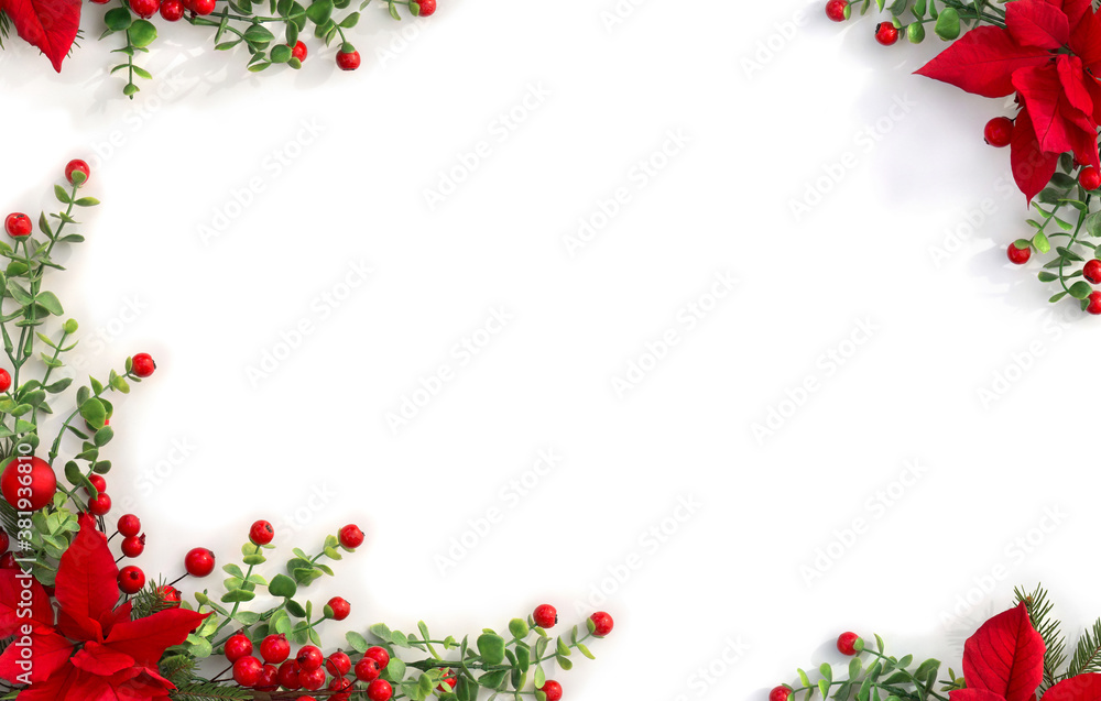 Christmas decoration. Frame of flowers of red poinsettia, branch ...