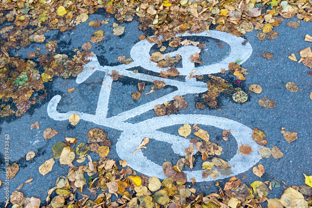 cycle, bicycle, track, cycle path, leaves, dead, fallen leaves, autumn ...