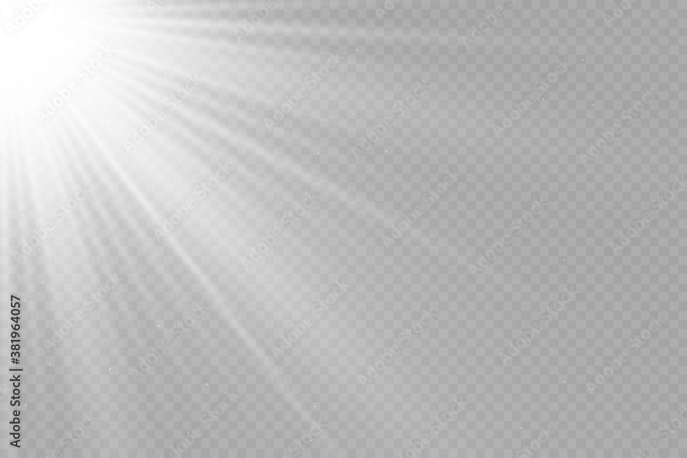 Poster Sunlight on a transparent background – Wall Art | UkPosters