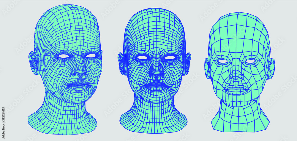 Low poly 3D head, human face structure made of grid. Biometrics, Facial ...