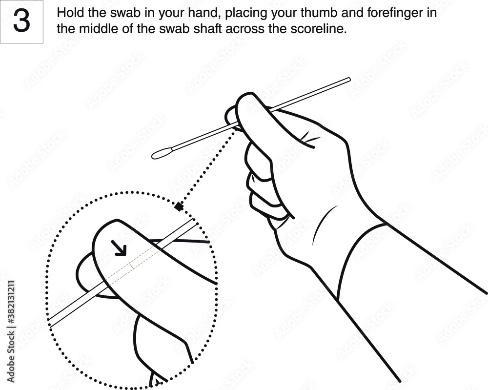 Hold the swab in your hand, placing your thumb and forefinger in the ...
