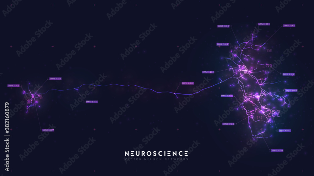 Vetor de Neuron system model. Neural net structure. Research of the ...