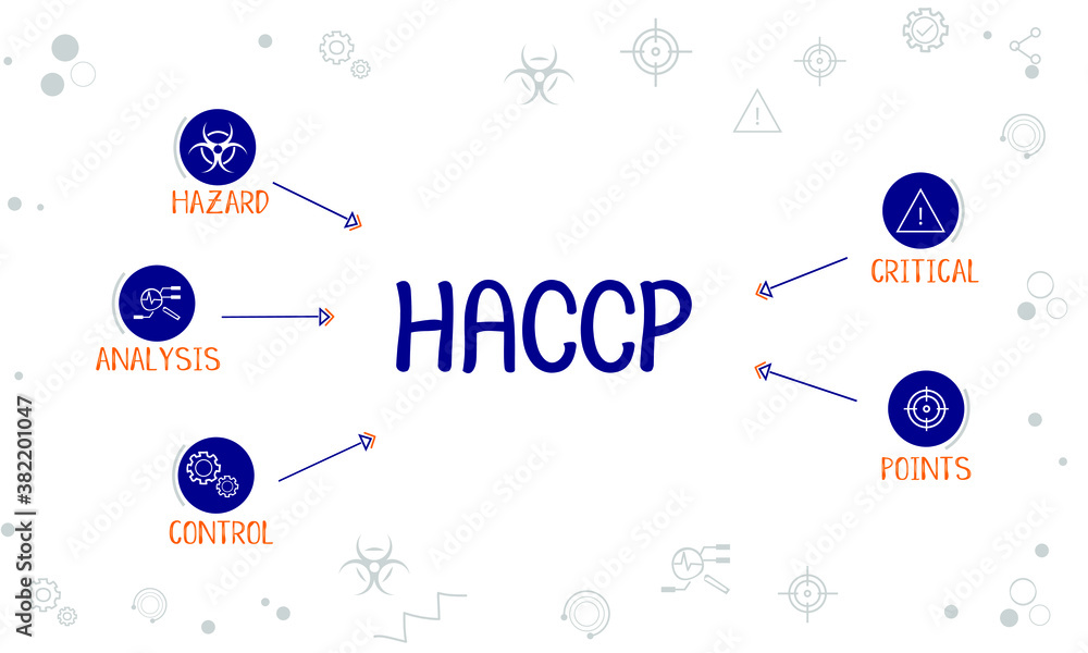 HACCP stage concept diagram with blue icons for hazard, analysis ...