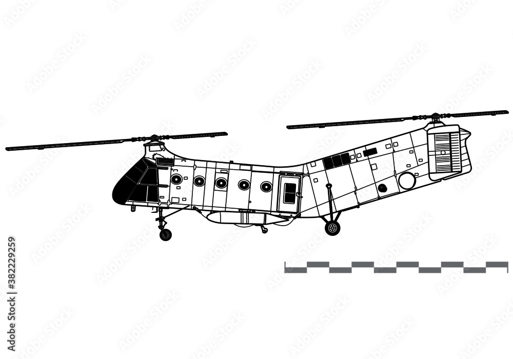 Piasecki H-21 Workhorse, Shawnee. Vector drawing of military transport ...