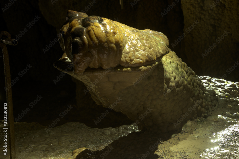 "Crocodile" formation in the Hoellgrotten Caves in Baar, Switzerland ...