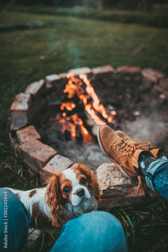 Unrecognizable Couple With Cute Dog Relaxing In Campsite With Fire Pit ...
