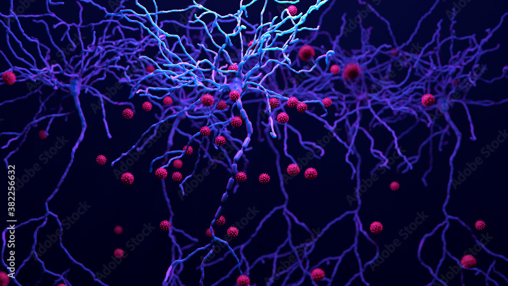 How COVID-19 can damage the brain, the deterioration of myelin a fatty ...