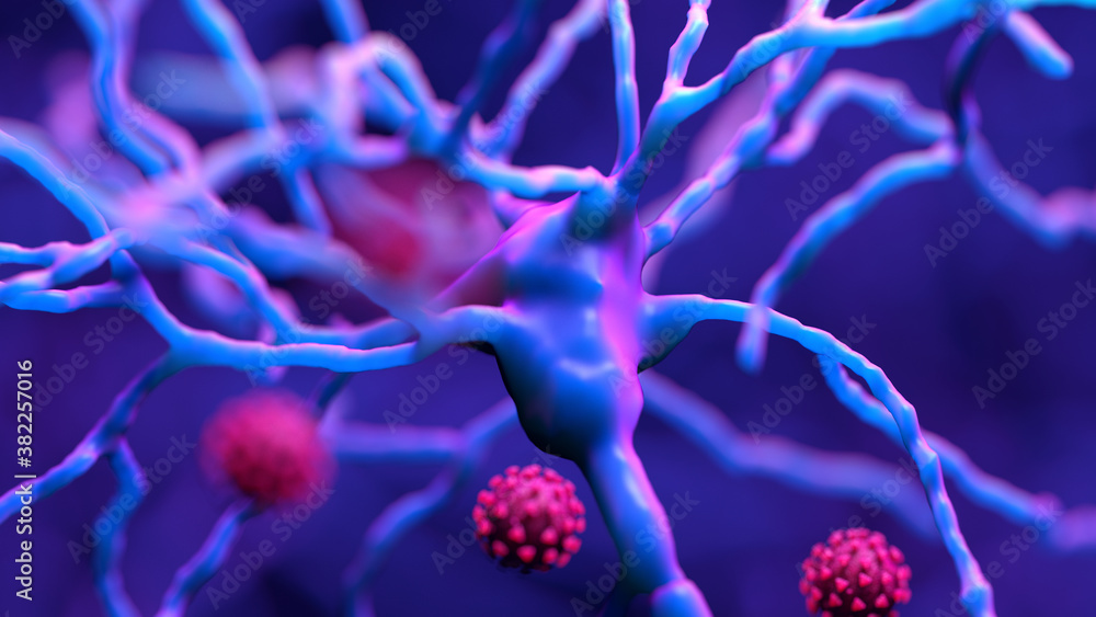 How COVID-19 can damage the brain, the deterioration of myelin a fatty ...