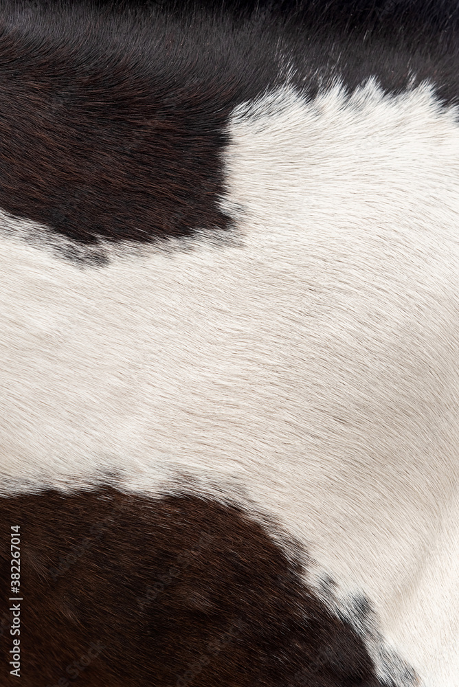 Texture of horse skin Stock Photo | Adobe Stock