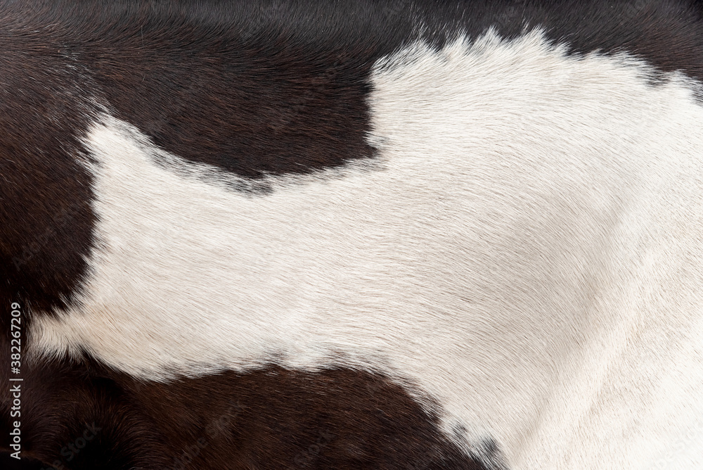 Texture of horse skin Stock Photo | Adobe Stock