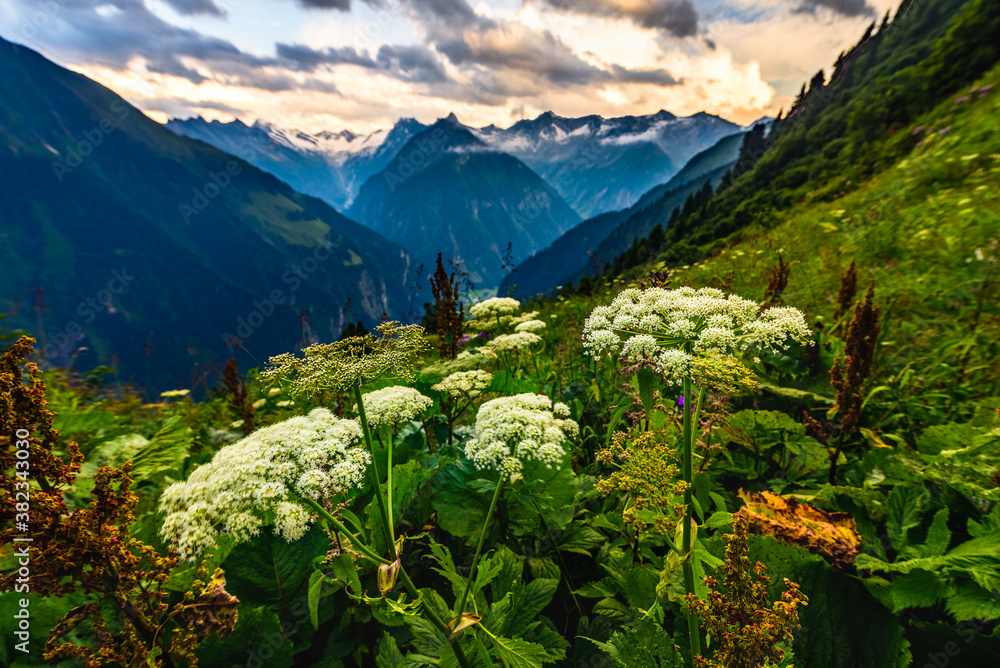 Foto de The challenging Berlin High Trail is a must-do high Alpine hike ...