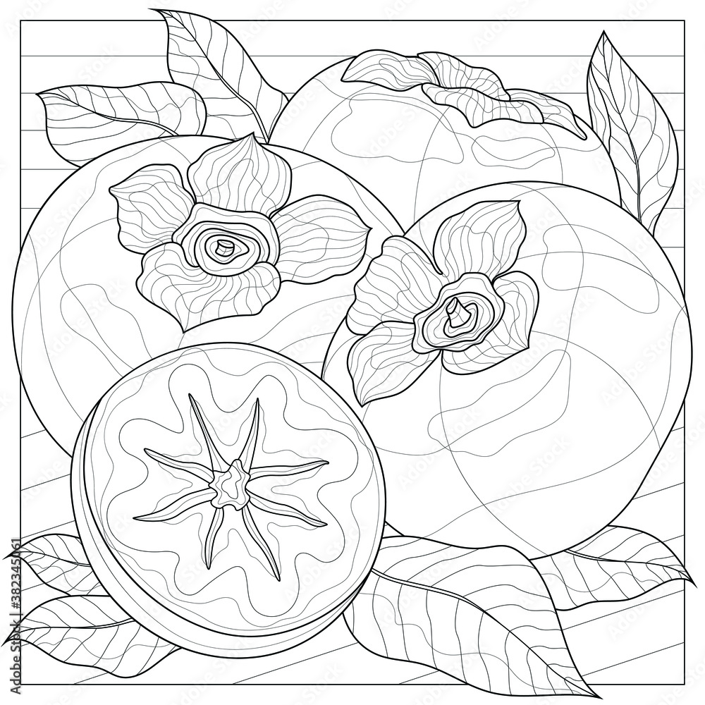 Persimmon. Fruit.Coloring book antistress for children and adults. Zen ...