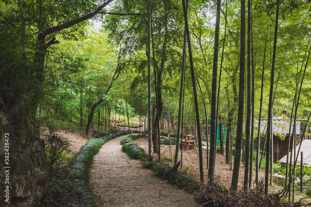 Path by bamboo forest in Lanting (Orchid Pavilion) scenic area in ...