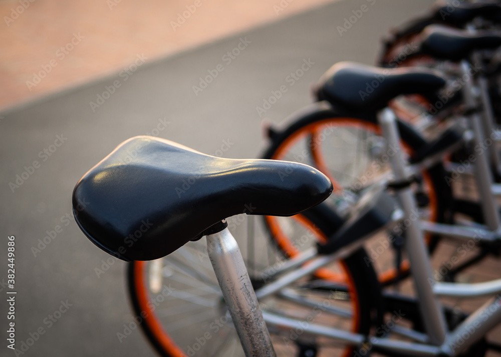 Bike rental on the main street of the city. Bike sharing system. Stock Photo | Adobe Stock
