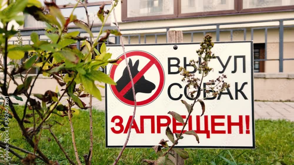 City street green zone hang plague sign "dog walking is prohibited ...