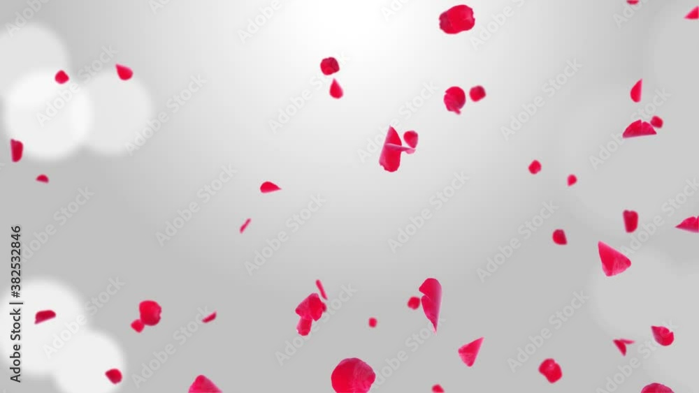 Vidéo Stock Pink romantic falling petals sakura or cherry. Loop 4K ...
