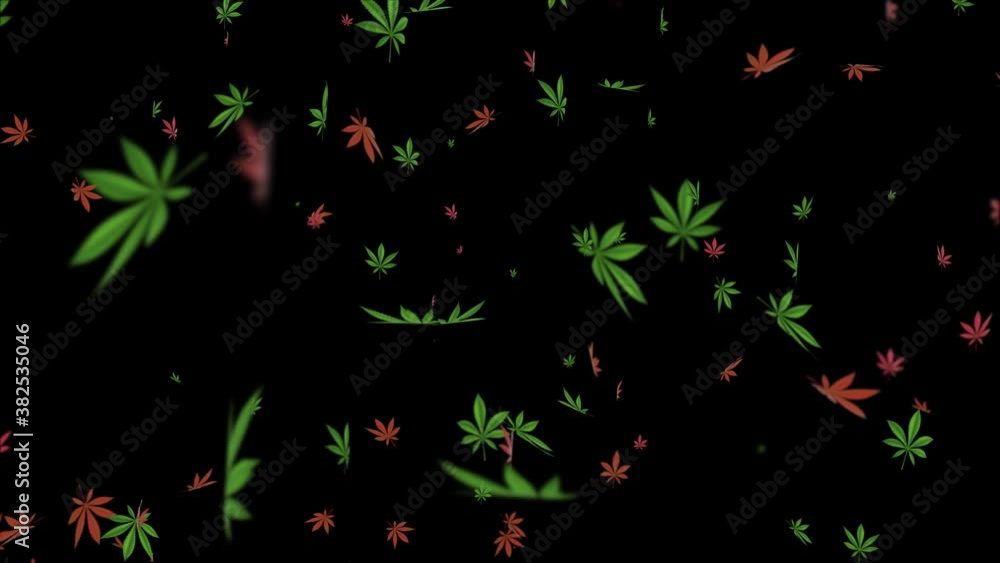 Cannabis leaves falling Beautiful composition Realistic 3D Alpha ...