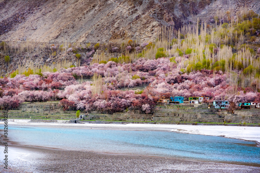 spring landscape of yugo village in ghanche district Stock Photo ...