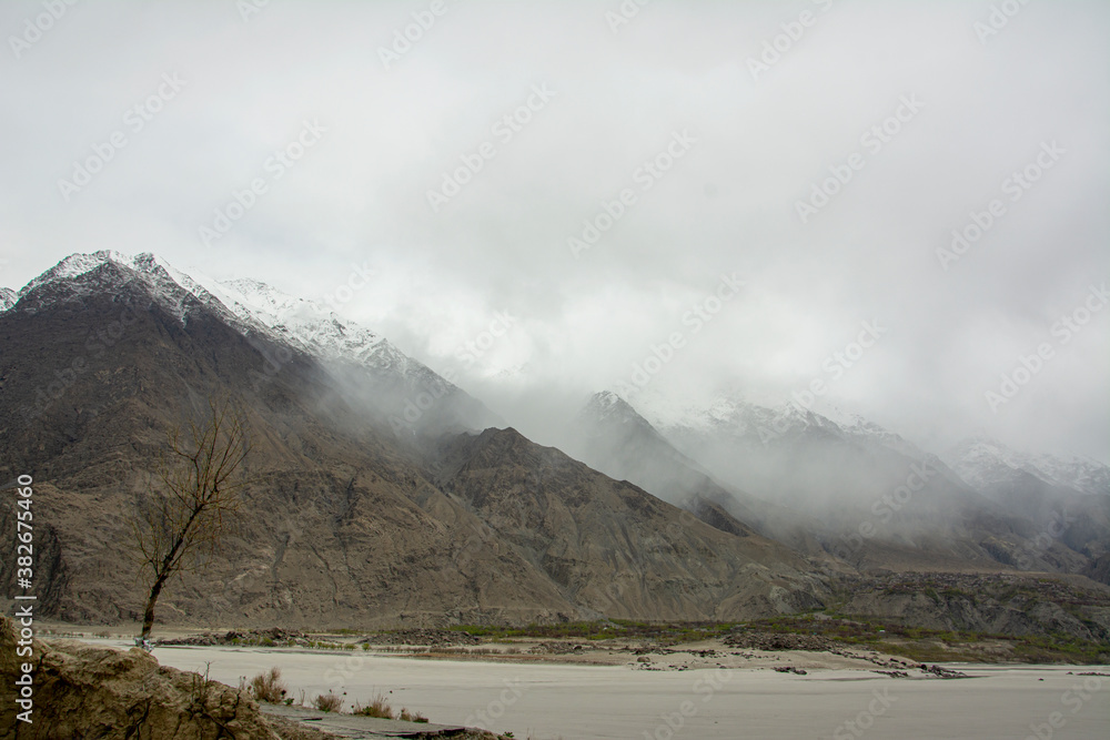 spring landscape photos of cherry blossom ,apricot blossom and spring ...