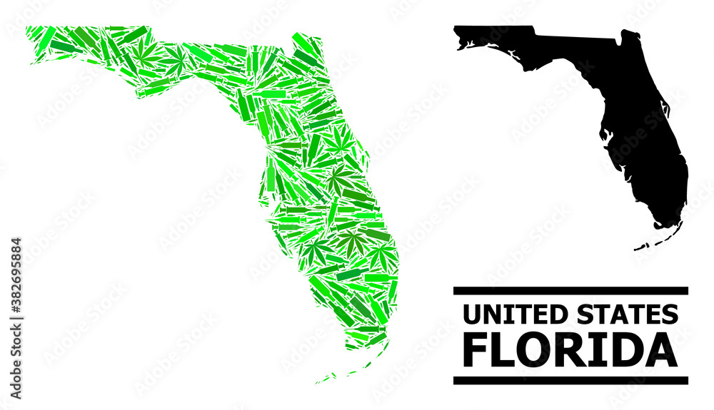 Drugs mosaic and solid map of Florida State. Vector map of Florida ...
