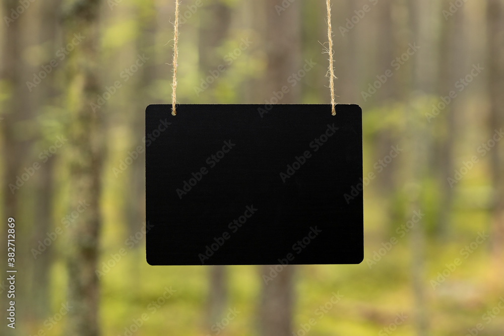 Decorative signboard hanging on a tree. Autumn forest background. Empty ...
