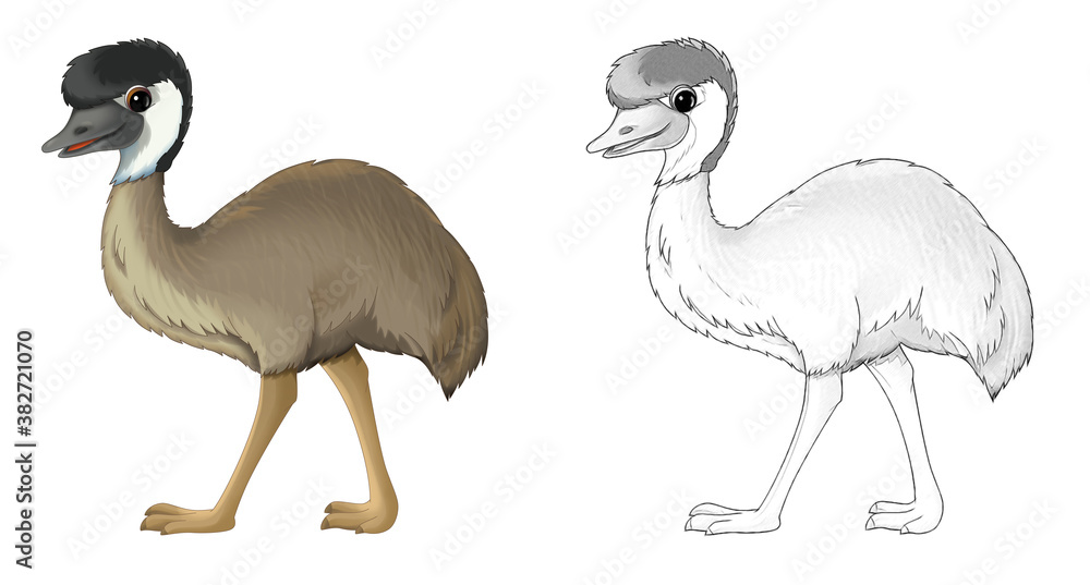 cartoon sketch scene with emu bird illustration Stock Illustration ...