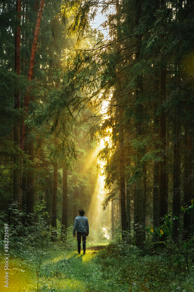 Man in denim jacket in forest during dreamy sunrise with sun rays ...