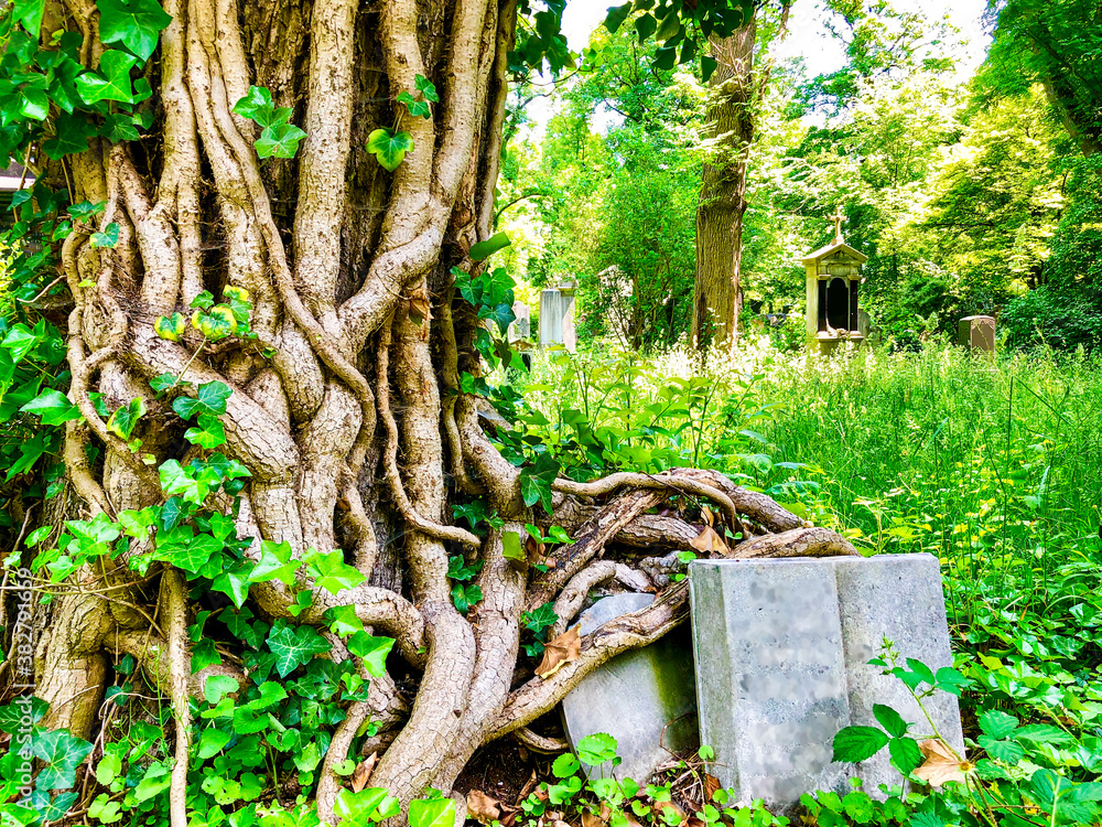 Beautiful cemetary or graveyard Südfriedhof Sudfriedhof in Munich ...