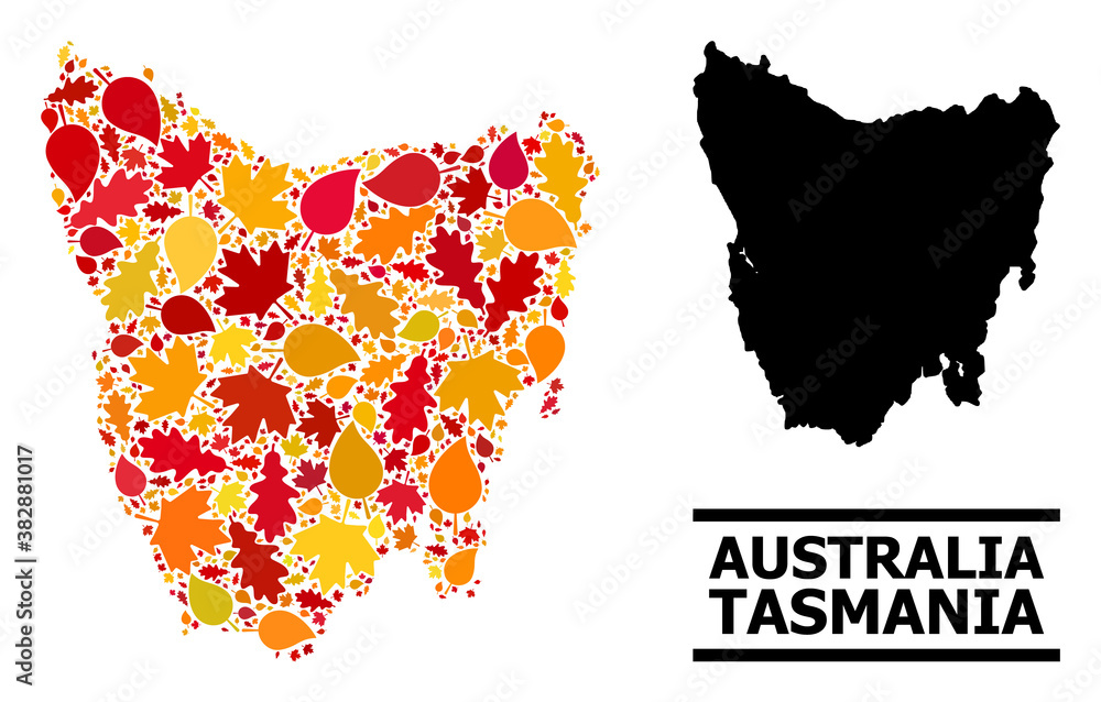 Mosaic autumn leaves and solid map of Tasmania Island. Vector map of ...