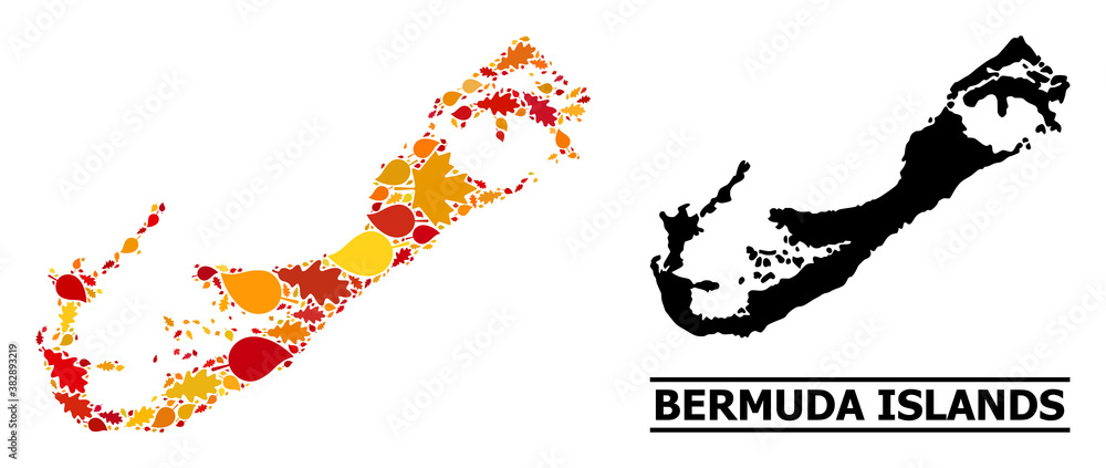 Mosaic autumn leaves and solid map of Bermuda Islands. Vector map of ...