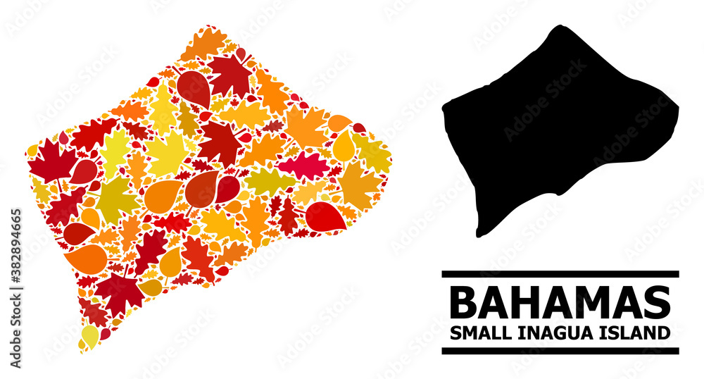 Mosaic autumn leaves and solid map of Small Inagua Island. Vector map ...