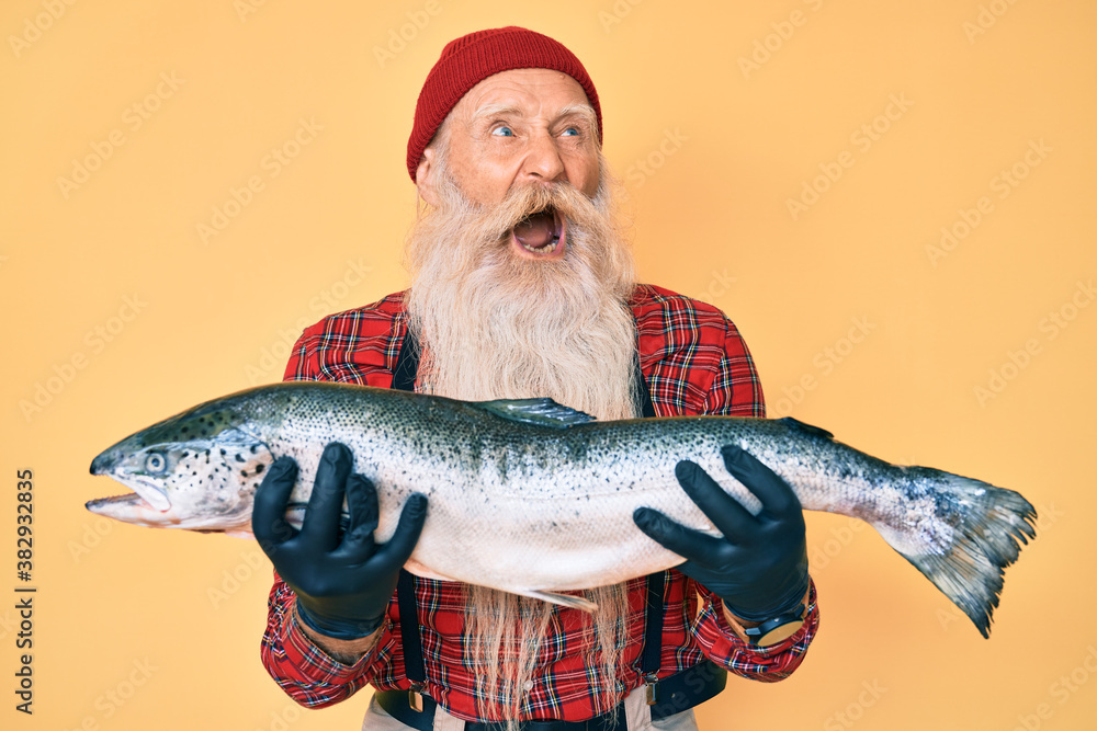 Old senior man with grey hair and long beard showing raw salmon angry ...