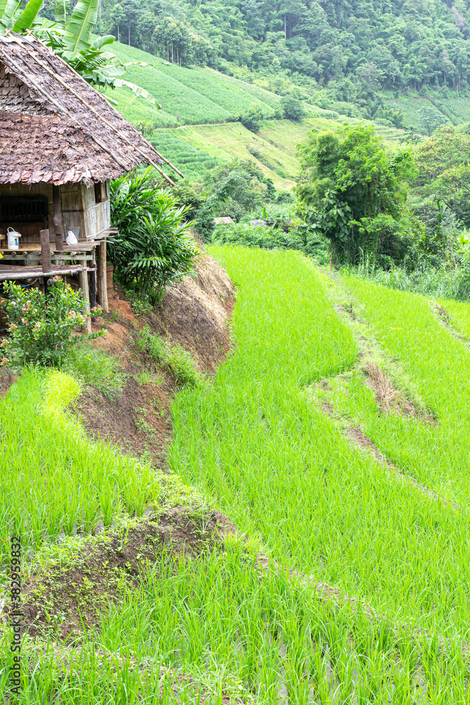 Rice terraces were built on mountainous land with minimal equipment ...