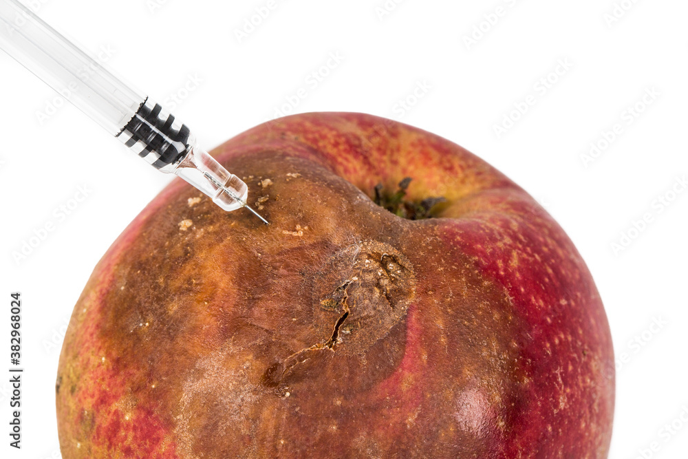 Close up Boring trace of a codling moth Cydia Pomonella, in a wormy ...
