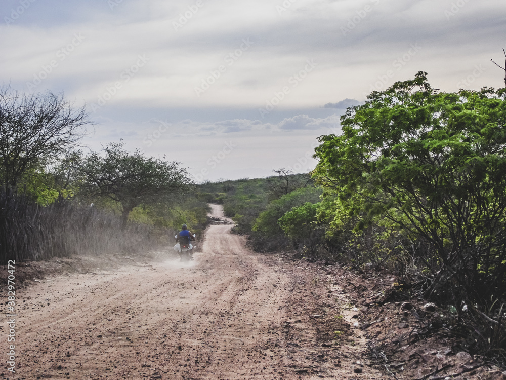 Região rural do sertão do Brasil e conta com a caatinga como bioma ...