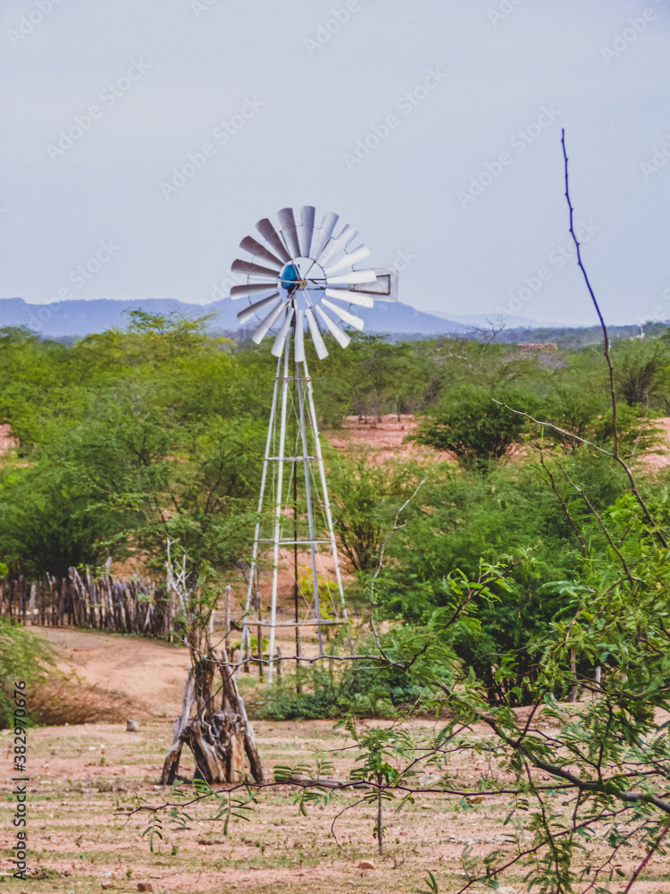 Região rural do sertão do Brasil e conta com a caatinga como bioma ...