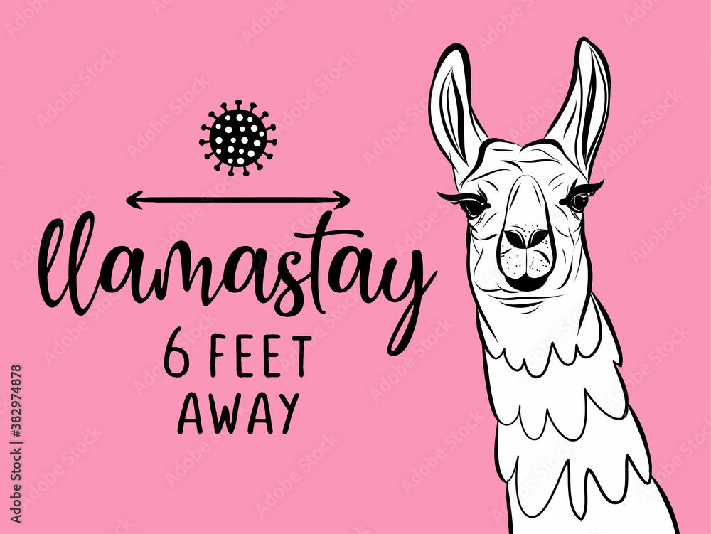 Llamastay (llama stay / namaste) 6 feet away - Lettering typography ...
