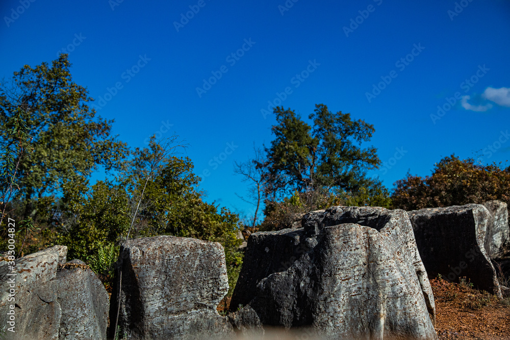 Salientes de roca caliza redondeados con árboles de fondo Stock-Foto ...