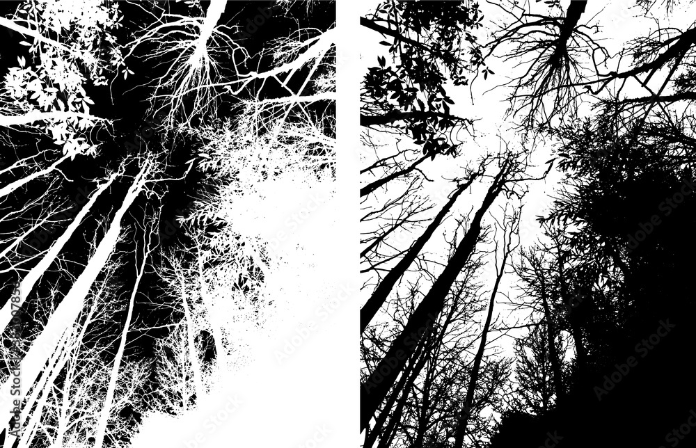 Tree trunk grain wood grain texture mottled abstract vector black and ...