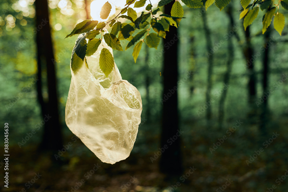 Plastic waste left in forest. Concept of plastic pollution and ...