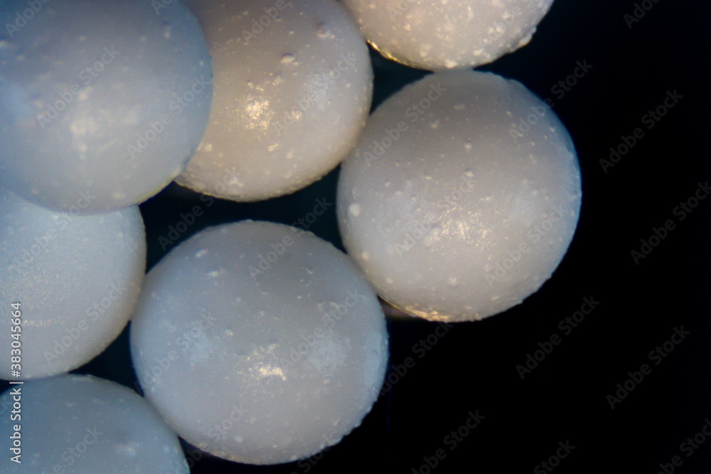Sodium alginate is a cell wall component of marine brown algae for ...