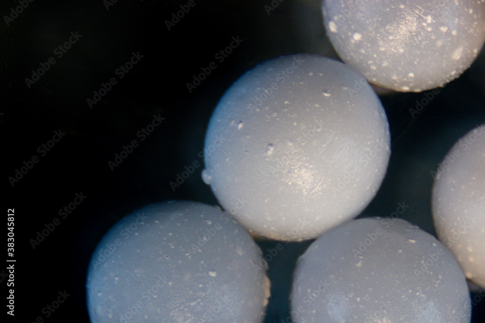 Sodium alginate is a cell wall component of marine brown algae for ...