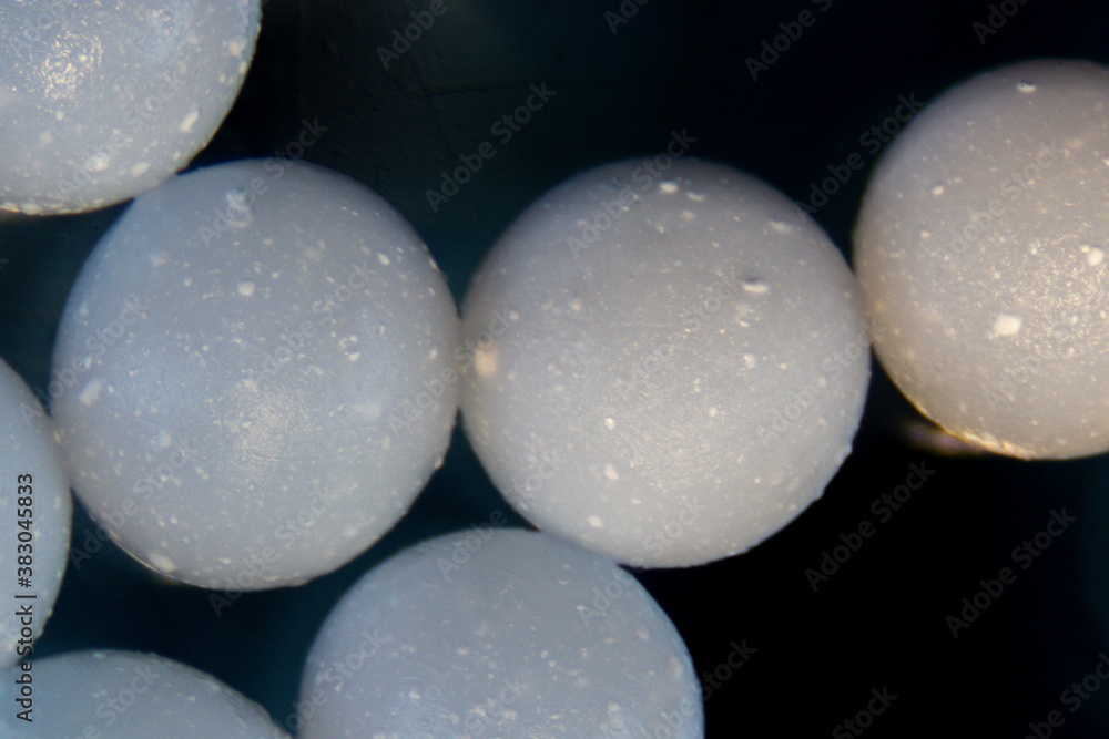 Sodium alginate is a cell wall component of marine brown algae for ...