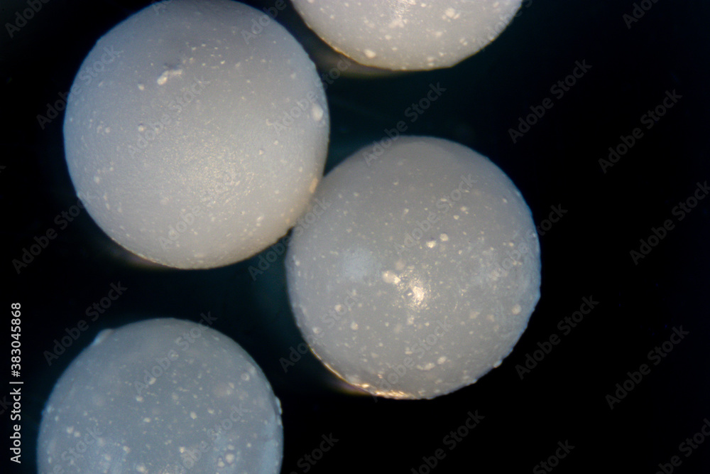 Sodium alginate is a cell wall component of marine brown algae for ...