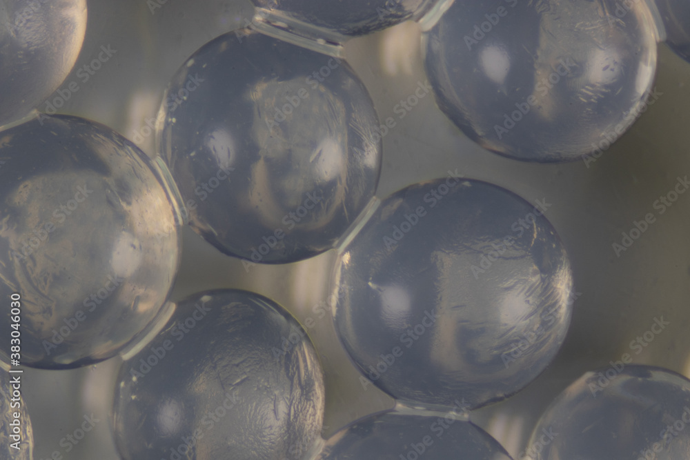 Sodium alginate is a cell wall component of marine brown algae for ...
