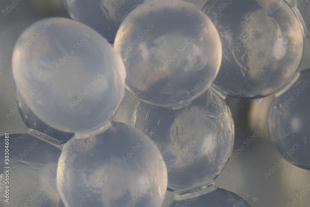 Sodium alginate is a cell wall component of marine brown algae for ...