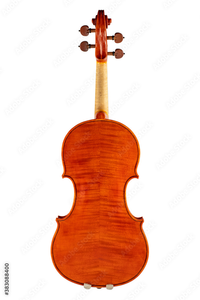 Violin back view isolated on a white background Stock Photo | Adobe Stock