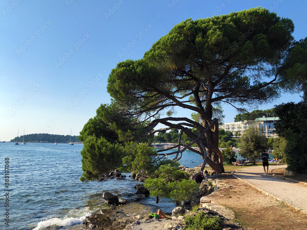 Golden Cape Forest Park Zlatni rt, Rovinj (Rovigno) - Istria, Croatia ...