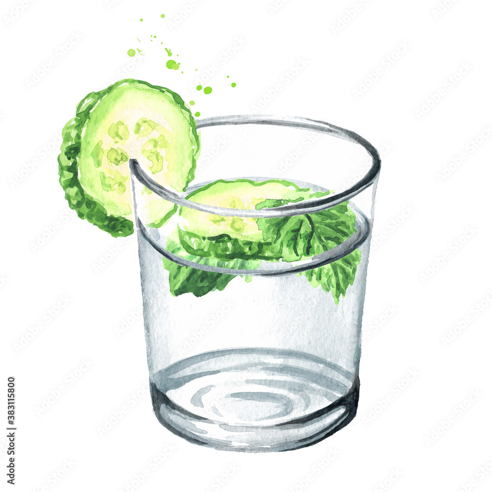 Glass of purified drinking water with fresh cucumber slices and mint leaf. Hand drawn watercolor ...